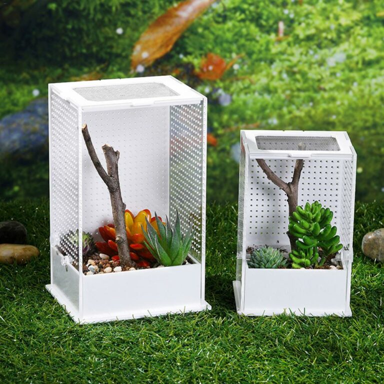 Acrylic Reptile Terrarium Transparent Feeding Insect Breeding Cage ...