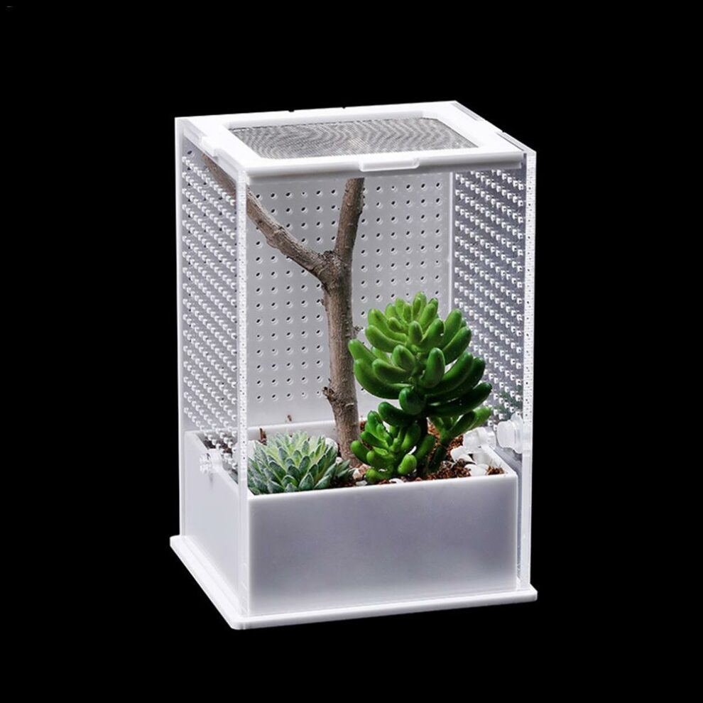 Acrylic Reptile Terrarium Transparent Feeding Insect Breeding Cage ...
