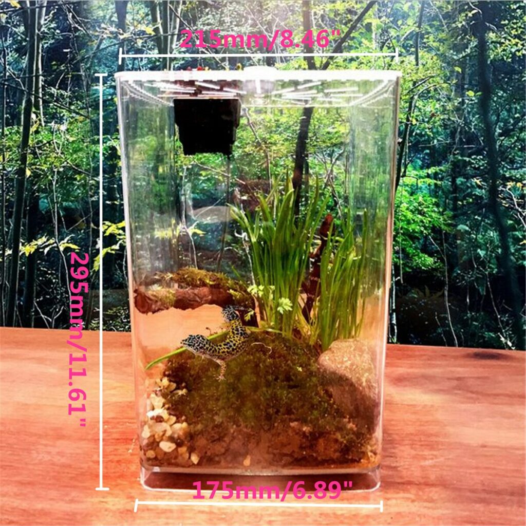 Transparent Acrylic Reptile Terrarium Snake Spider Chameleon Breeding ...