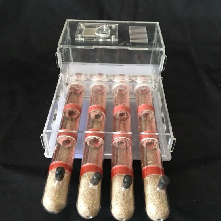 Acrylic Ant Farm Nest With 4 Test Tubes Insect House And Feeding Area ...