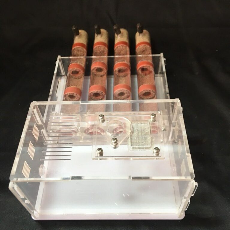 Acrylic Ant Farm Nest With 4 Test Tubes Insect House And Feeding Area ...