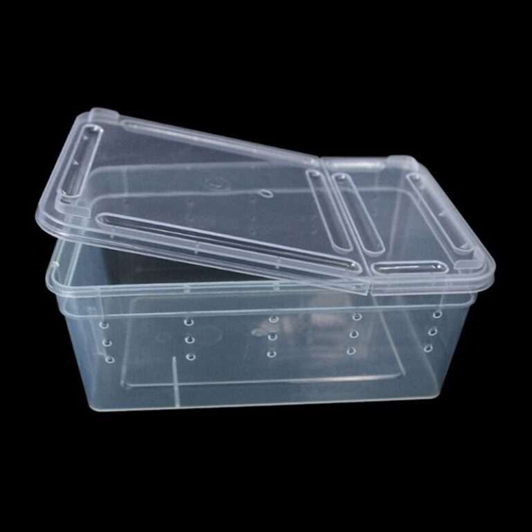 Reptile Transport Box Transparent Plastic Breeding Live Food Feeding ...