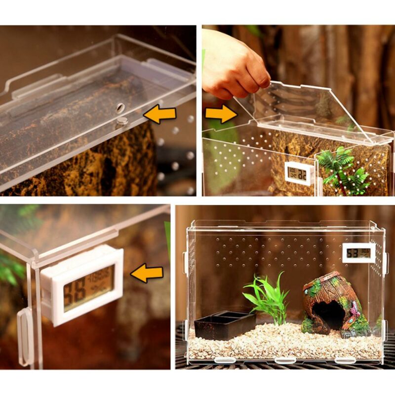 Reptile Breeding Terrarium For Snake Gecko Lizard Egg Incubation - Free ...