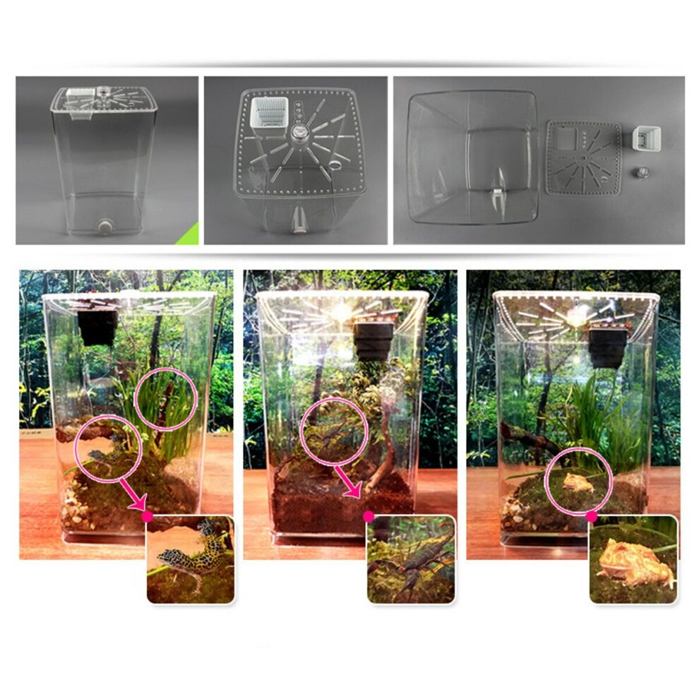 Acrylic Reptile Terrarium Cage Transparent Feeding Tank For Snakes ...