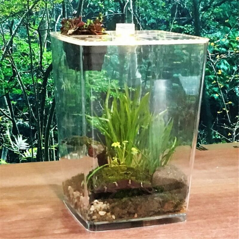 Acrylic Reptile Terrarium Cage Transparent Feeding Tank For Snakes ...