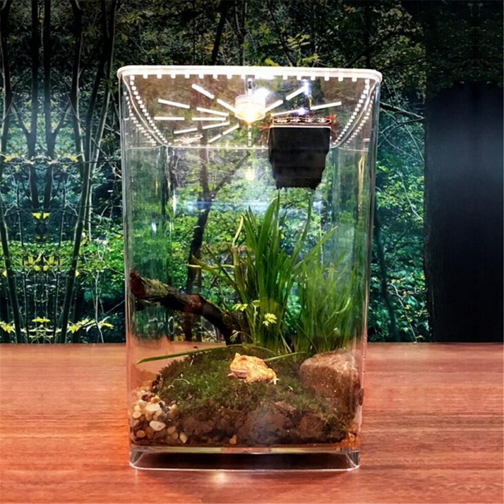 Acrylic Reptile Terrarium Cage Transparent Feeding Tank For Snakes ...