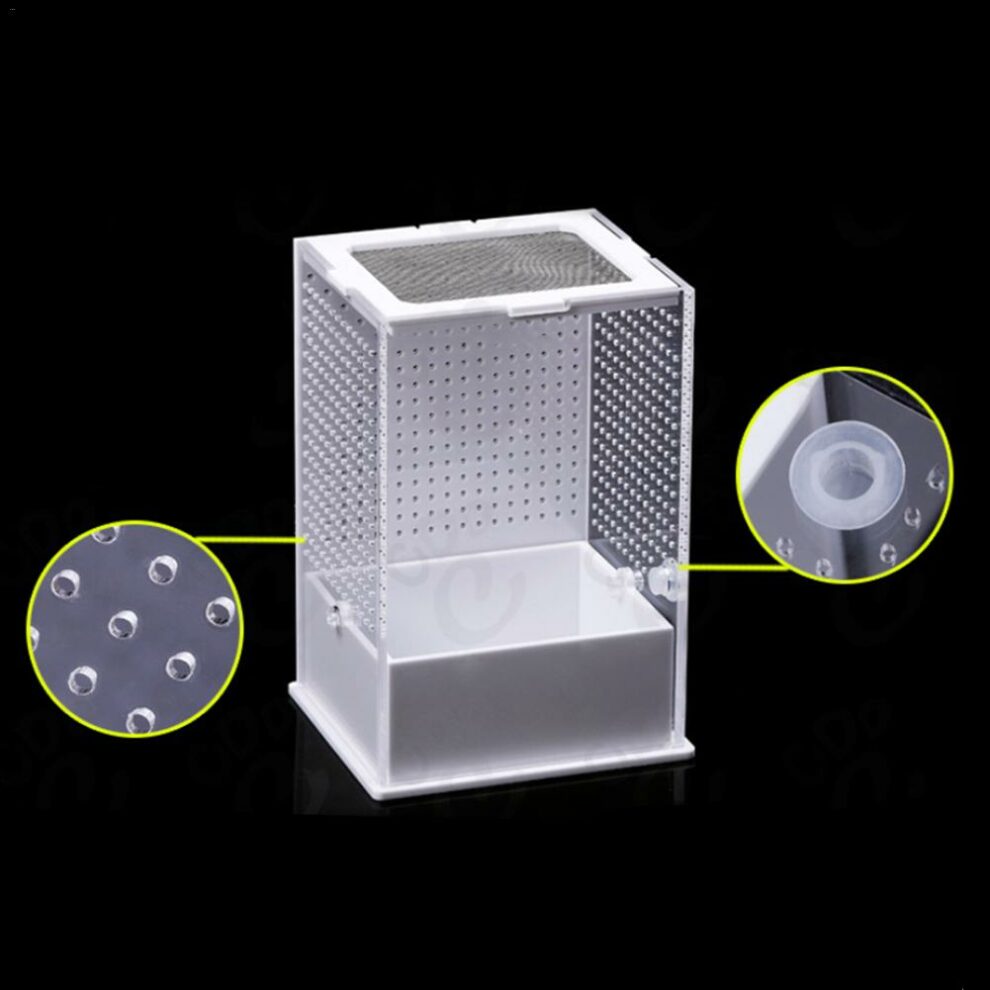 Acrylic Reptile Terrarium Transparent Breeding Cage For Insects Praying ...