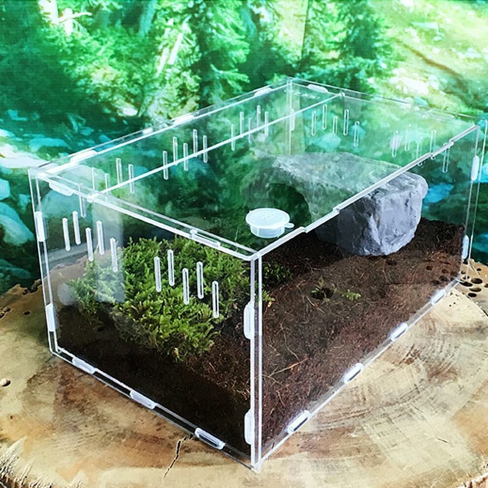 Acrylic Reptile Terrarium Transparent Breeding Box For Small Pets ...