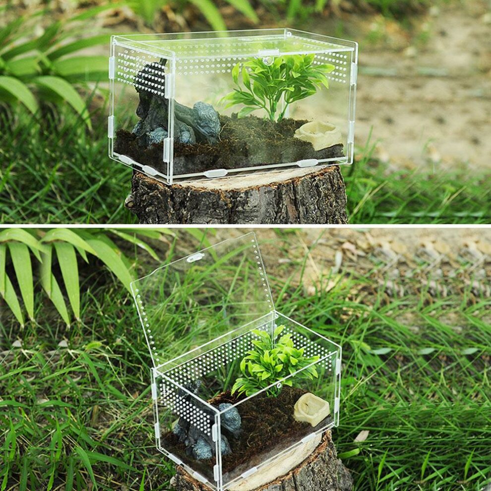 Acrylic Reptile And Insect Feeding Box Kit For Terrarium Habitats ...