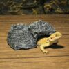 Resin Turtle Basking Ramp Reptile Climbing Platform Aquarium Decor By ...
