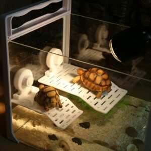 Petshy Floating Turtle Dock Amphibian Aquarium Platform Tortoise Tank ...