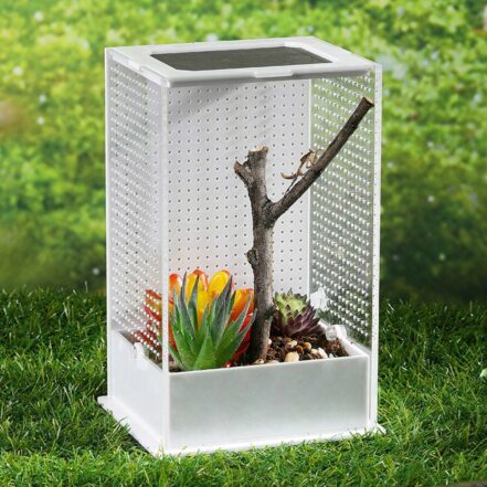 Reptile Habitat Turtle And Tortoise Aquarium Tank Box - Free Shipping ...