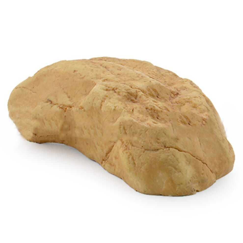 Reptile Habitat Turtle And Tortoise Aquarium Tank Box - TrendyReptiles ...