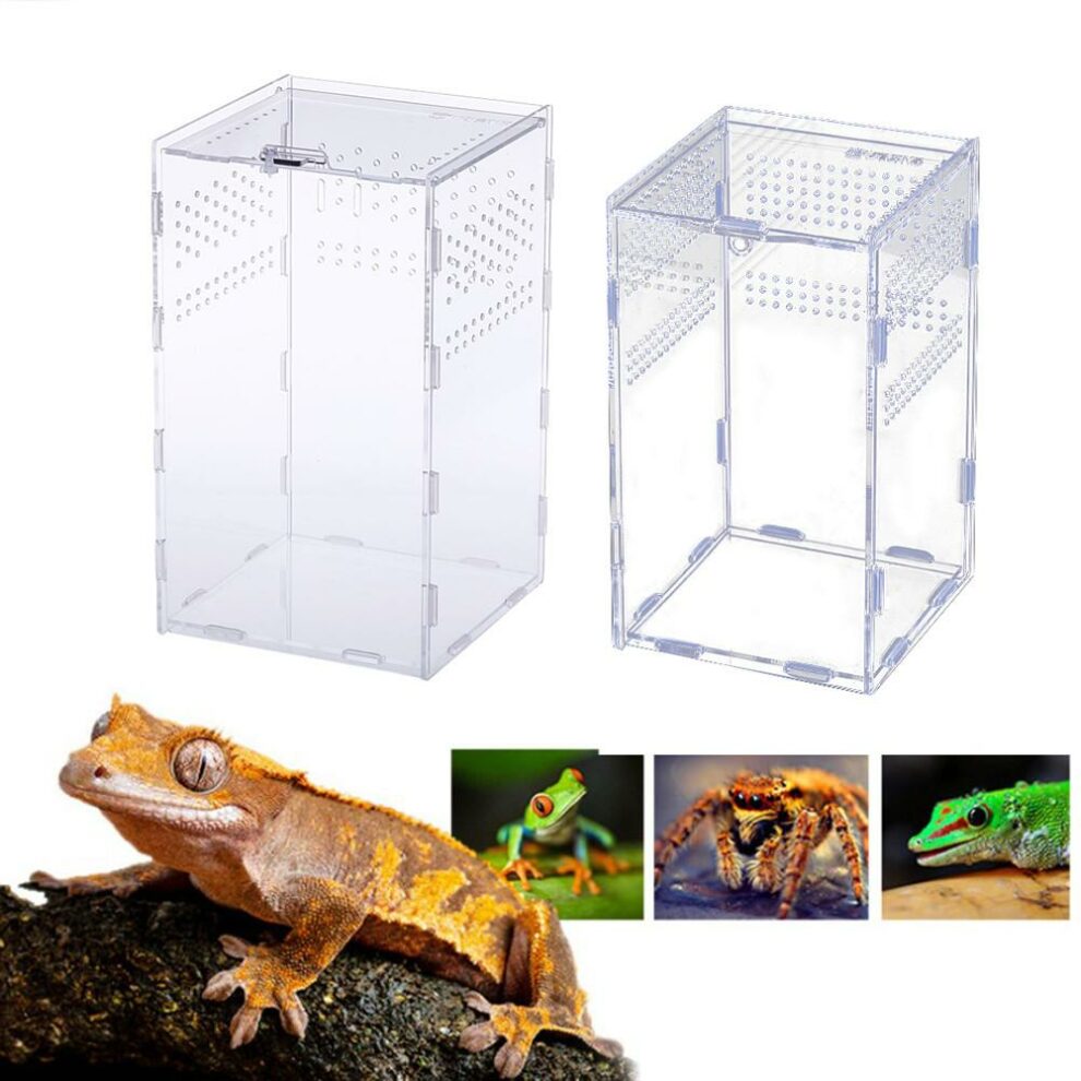 Acrylic Reptile And Insect Feeding Box Kit For Terrarium Habitats ...