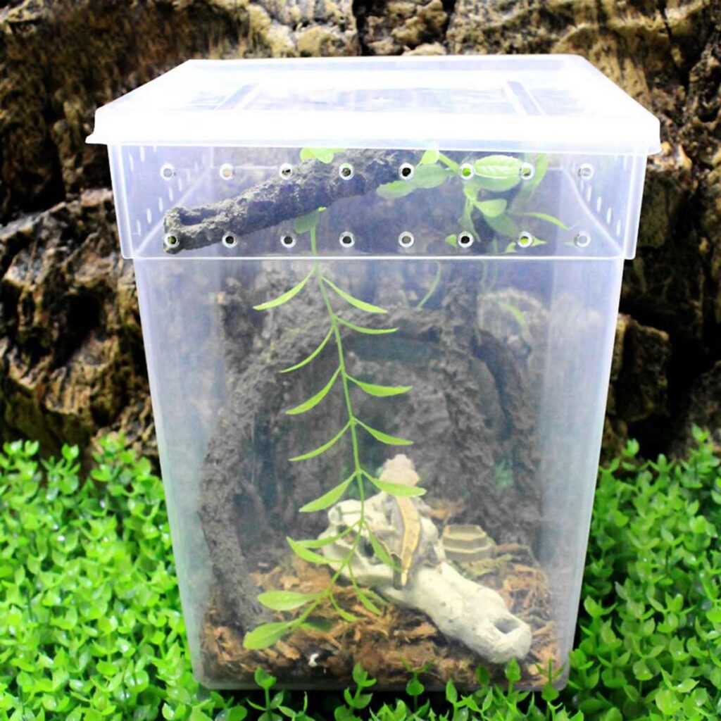 Reptile Breeding Cage Transparent Insect And Turtle Feeding Tank ...