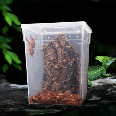 Tortoise Reptile Tank With Basking Ramp Vivarium Aquarium Box - Free ...