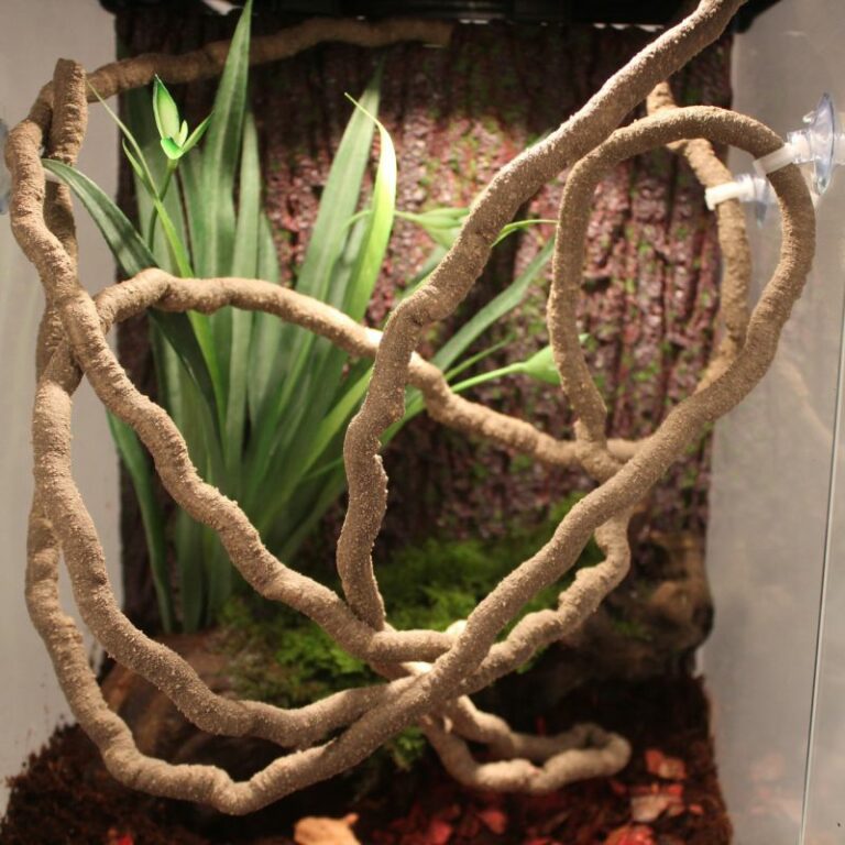 Natural Rattan Reptile Aquarium Wood Decoration For Rainforest ...