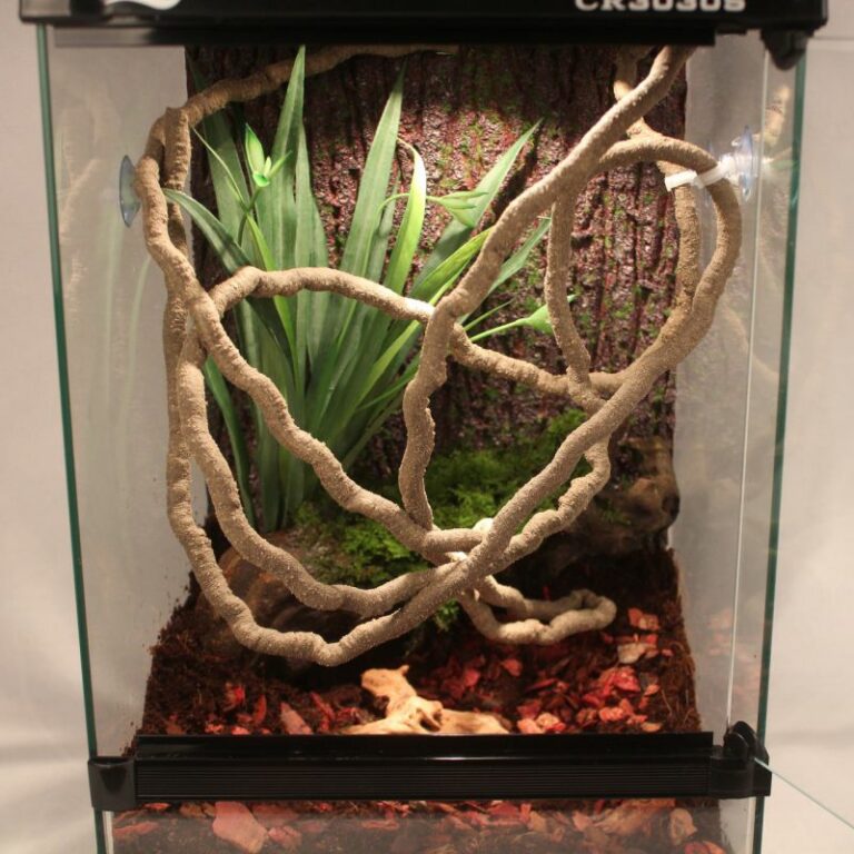 Natural Rattan Reptile Aquarium Wood Decoration For Rainforest ...
