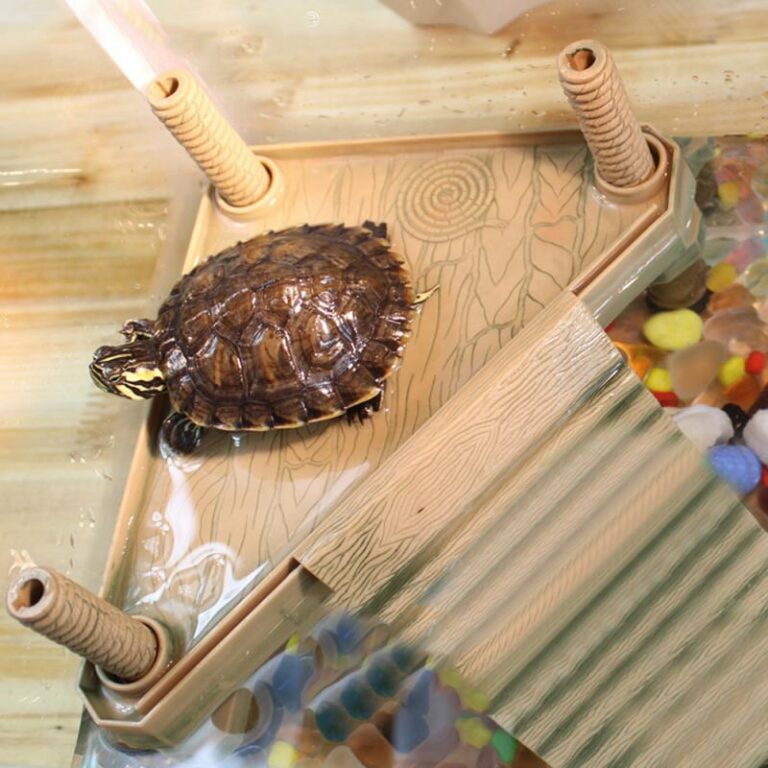 Reptile Floating Basking Pier Turtle Aquarium Decor Amphibian Tank ...