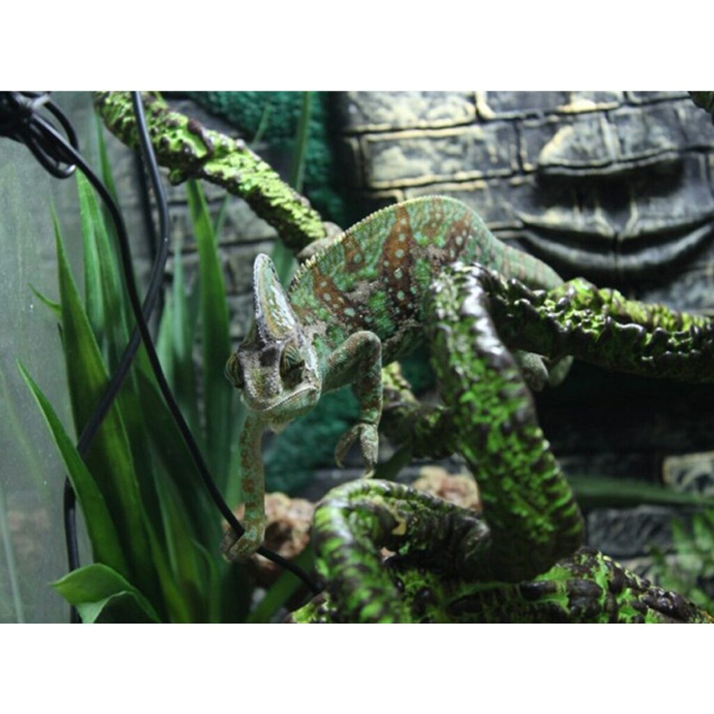 Artificial Jungle Vine Branch For Reptiles 155195cm Cage Decoration ...