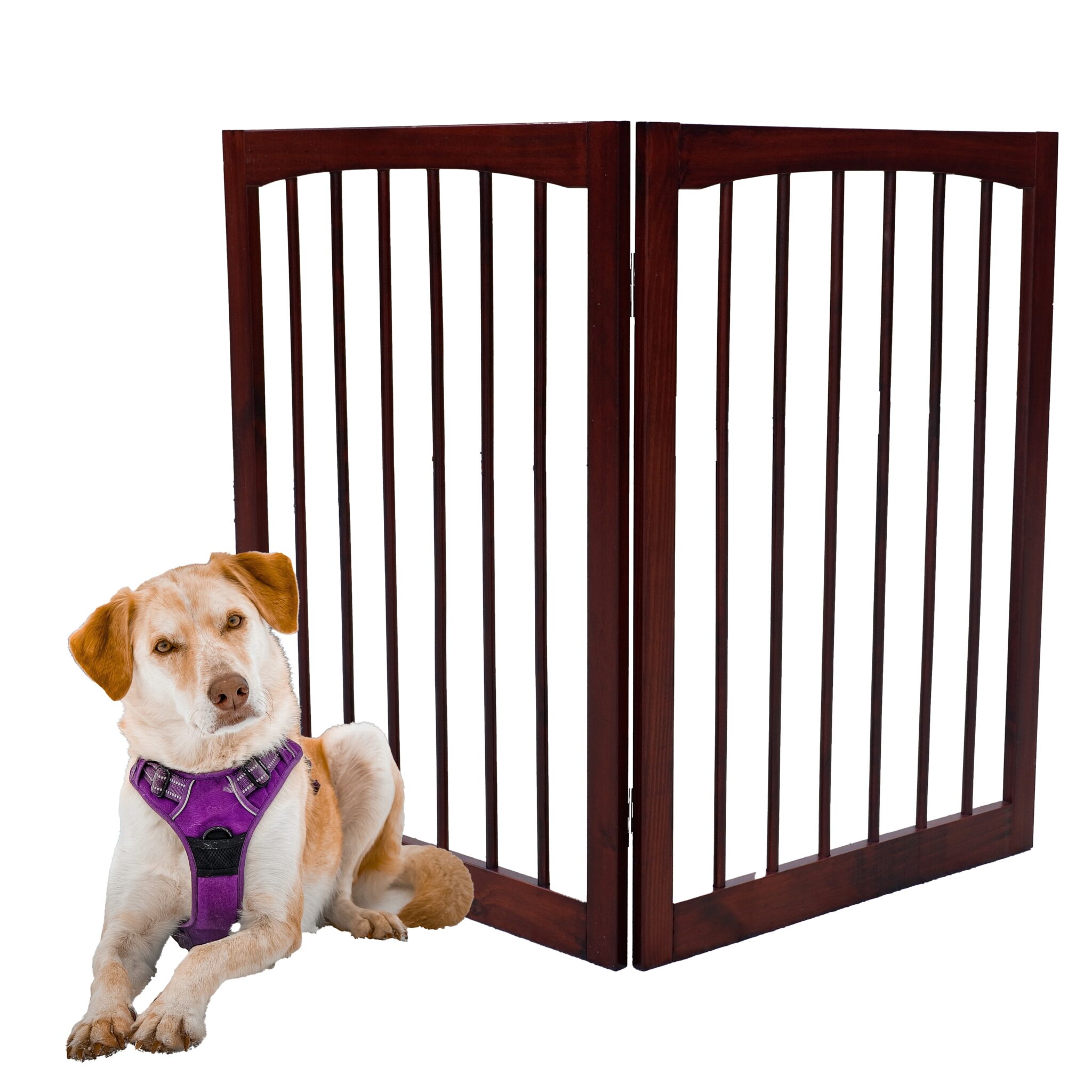 Indoor Wooden Foldable Pet Safety Gate For Dogs Puppies Stairs - Free ...