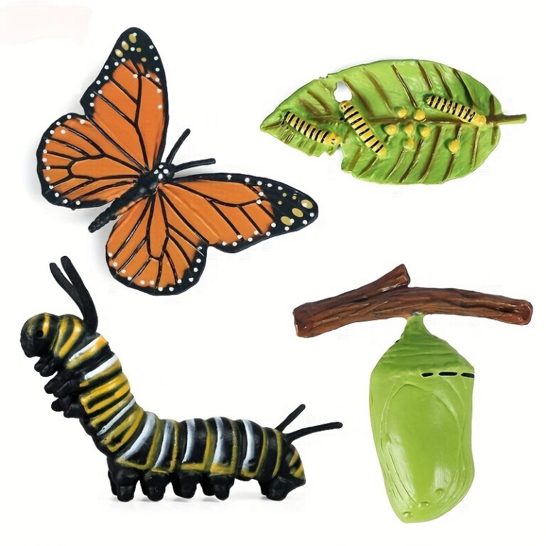 Monarch Butterfly Life Cycle Educational Kit 4pcs Teaching Tools For ...