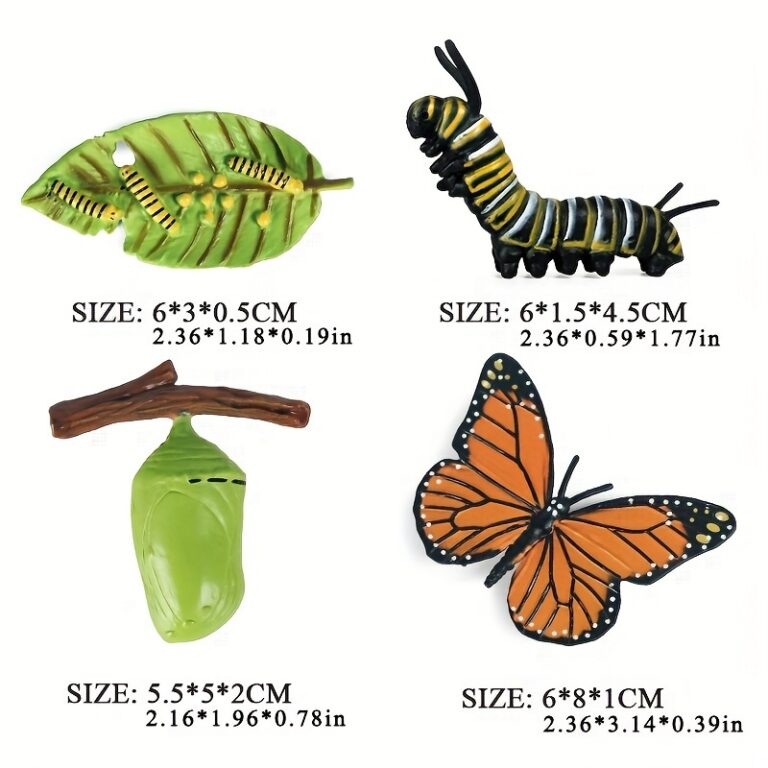 Monarch Butterfly Life Cycle Educational Kit 4pcs Teaching Tools For ...