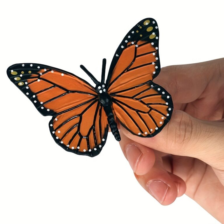 Monarch Butterfly Life Cycle Educational Kit 4pcs Teaching Tools For ...