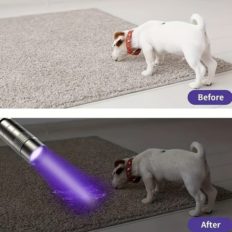 Portable Uv Black Light Flashlight Pet Stains Leak Detection Invisible ...