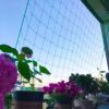 Heavyduty Garden Plant Trellis Netting For Strong Upright Growth - Free ...