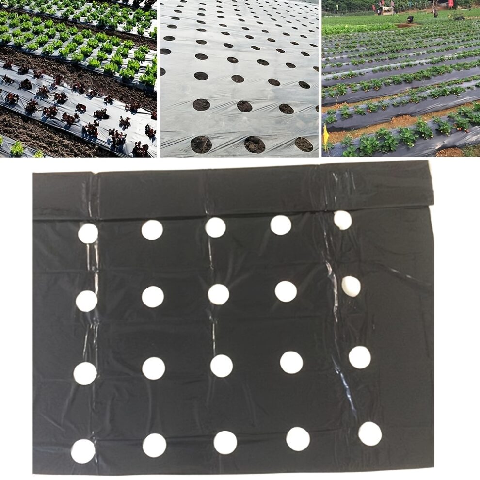 Breathable Garden Weed Control Plastic Film With Planting Holes ...