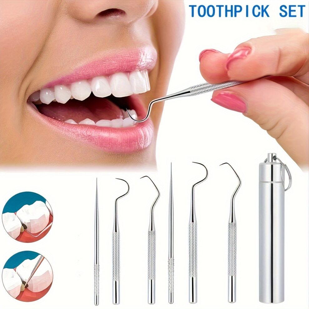 6piece Stainless Steel Toothpick Set With Portable Storage Tube Dental ...