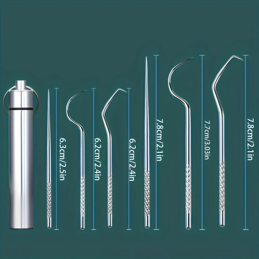 6piece Stainless Steel Toothpick Set With Portable Storage Tube Dental ...