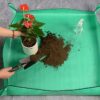 Compact Garden Transplant Mat Spacesaving Indoor Planter Pad - Free ...