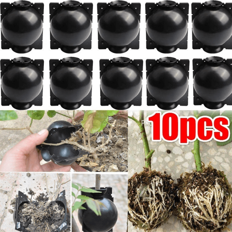 10pcs Black Reusable Plant Root Growing Boxes Easy Propagation Kit ...
