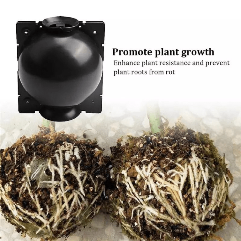 10pcs Black Reusable Plant Root Growing Boxes Easy Propagation Kit ...